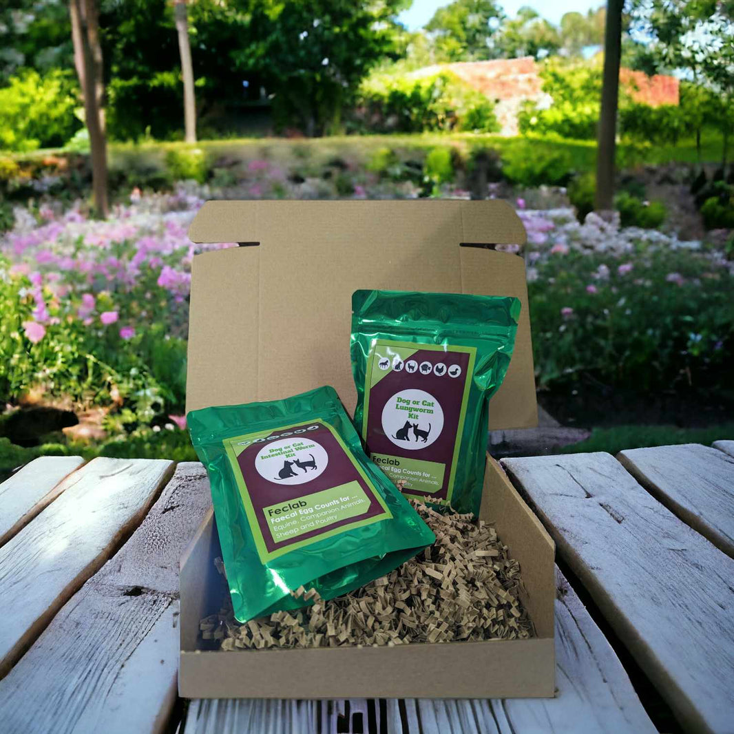 Products – Mr Slobberchops - Natural Pet Health