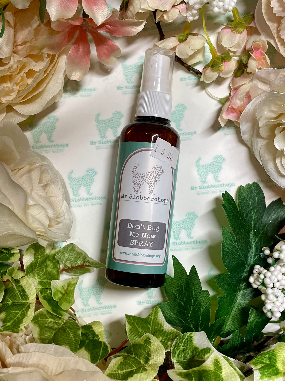 Don't Bug me now Spray – Mr Slobberchops - Natural Pet Health